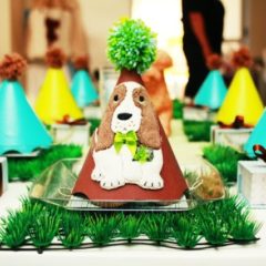 Dog Birthday Hats {The Cutest!} - B. Lovely Events