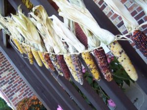 Rustic And Chic Indian Corn Decorations! - B. Lovely Events