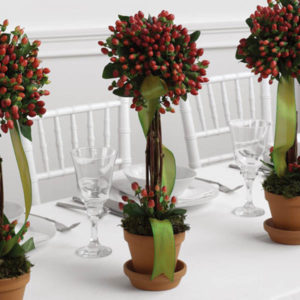 Be All Natural With Topiary Centerpieces! - B. Lovely Events